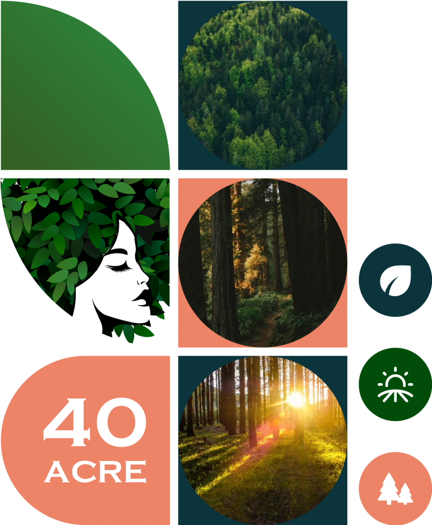 Home new - 40 Acre League - Experiencing the Great Outdoors